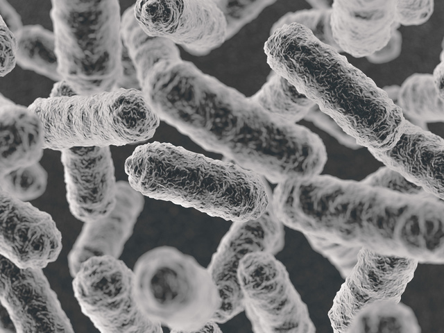 The University of Tokyo and Tokyo Institute of Technology elucidate the ...