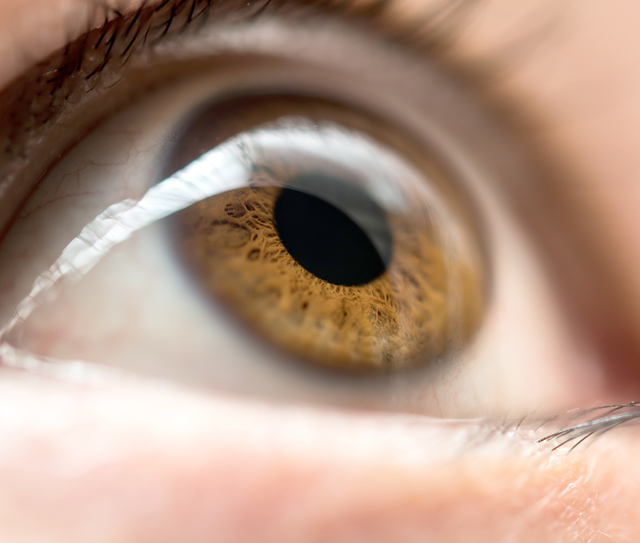 Creating cells for the main part of the eye from iPS cells Expectations ...