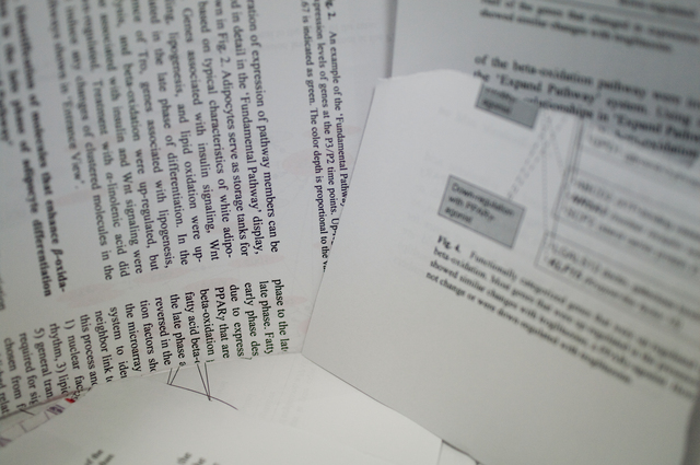 English is the mainstream for open access papers, Kagakuken ...