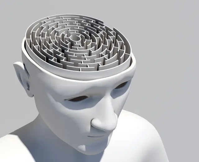 Psychopaths lie, affected by hypoactivity in the brain Kyoto University ...