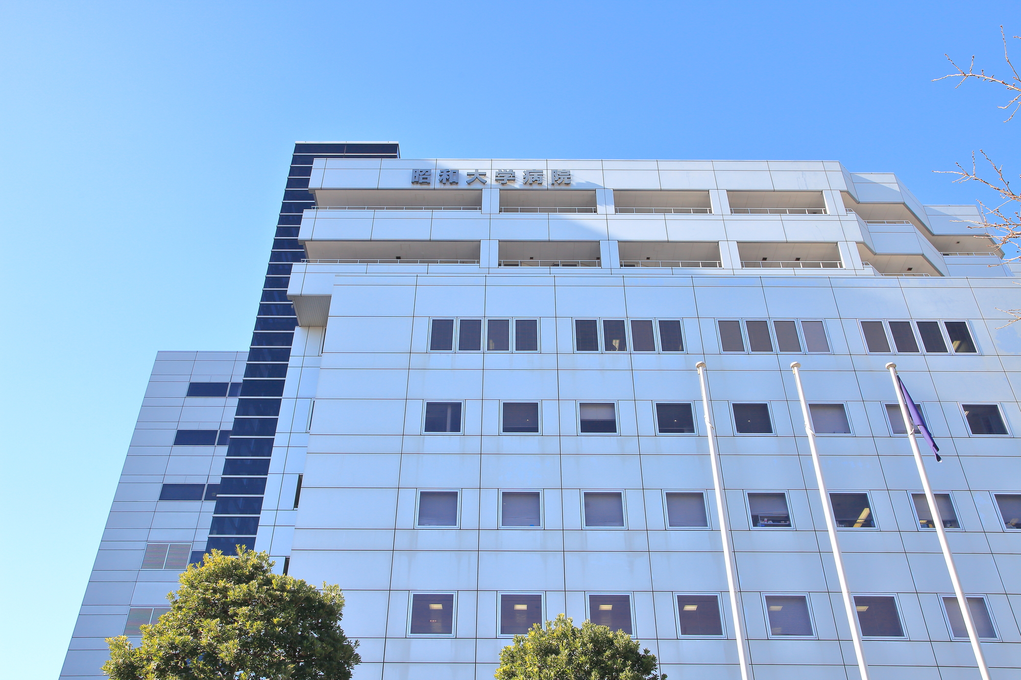 Showa University Adds Japanese to Entrance Examination Electives from ...