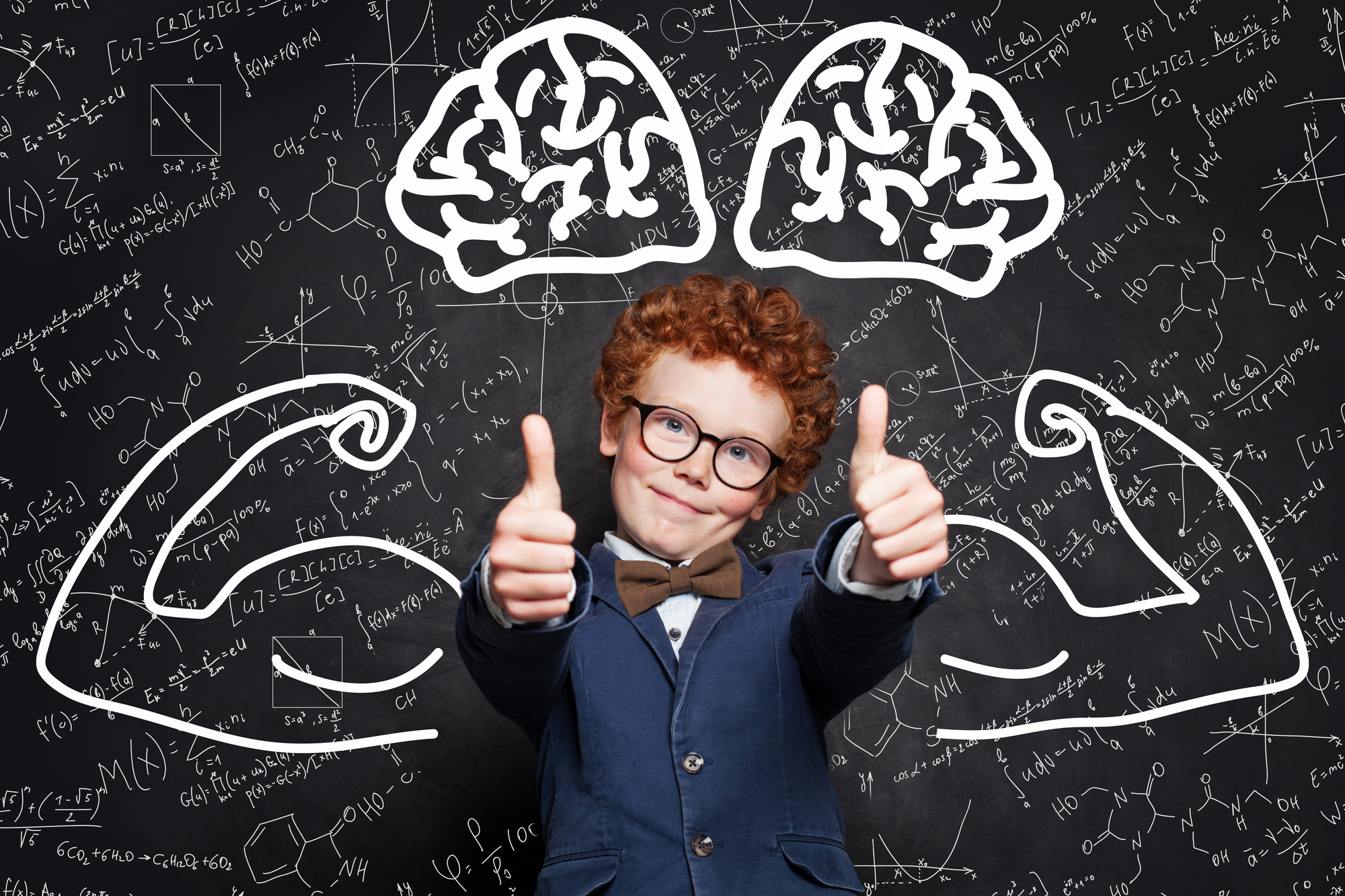 Osaka City University elucidates the neural mechanism that raises ...