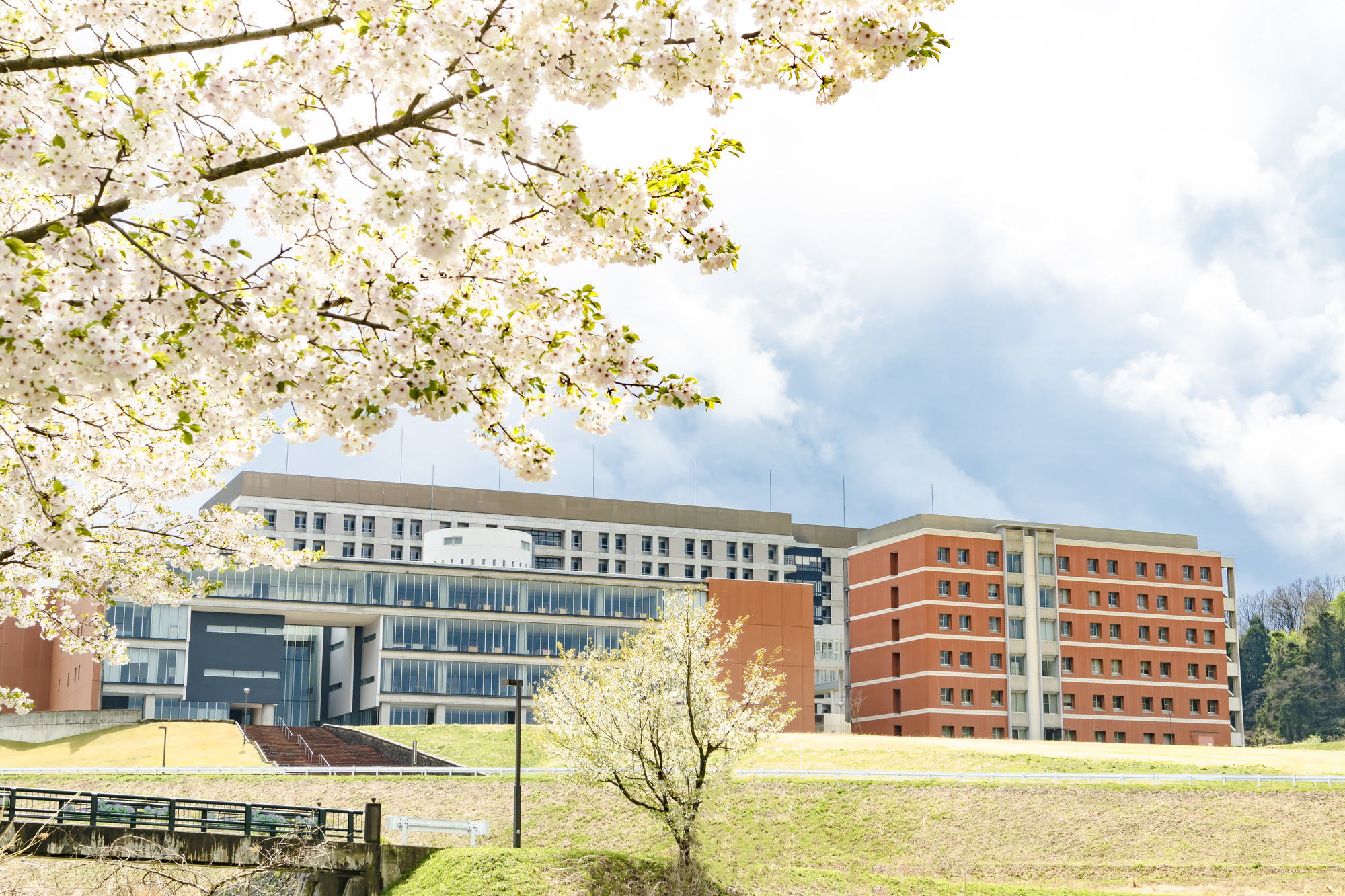 The Ministry of Education, Culture, Sports, Science and Technology ...