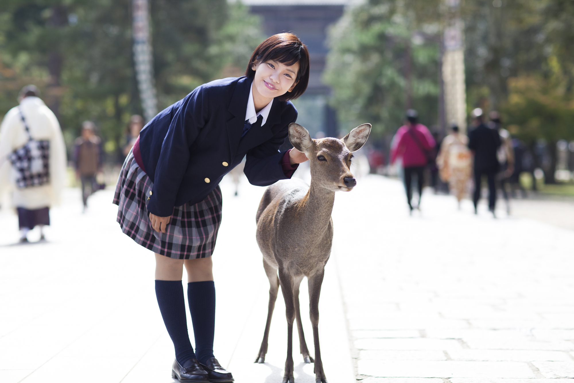 Nara Prefecture Follows Osaka Prefecture With Support Of Up To 63 Yen Nara Prefecture Follows Osaka Prefecture With Support Of Up To 63 Yen