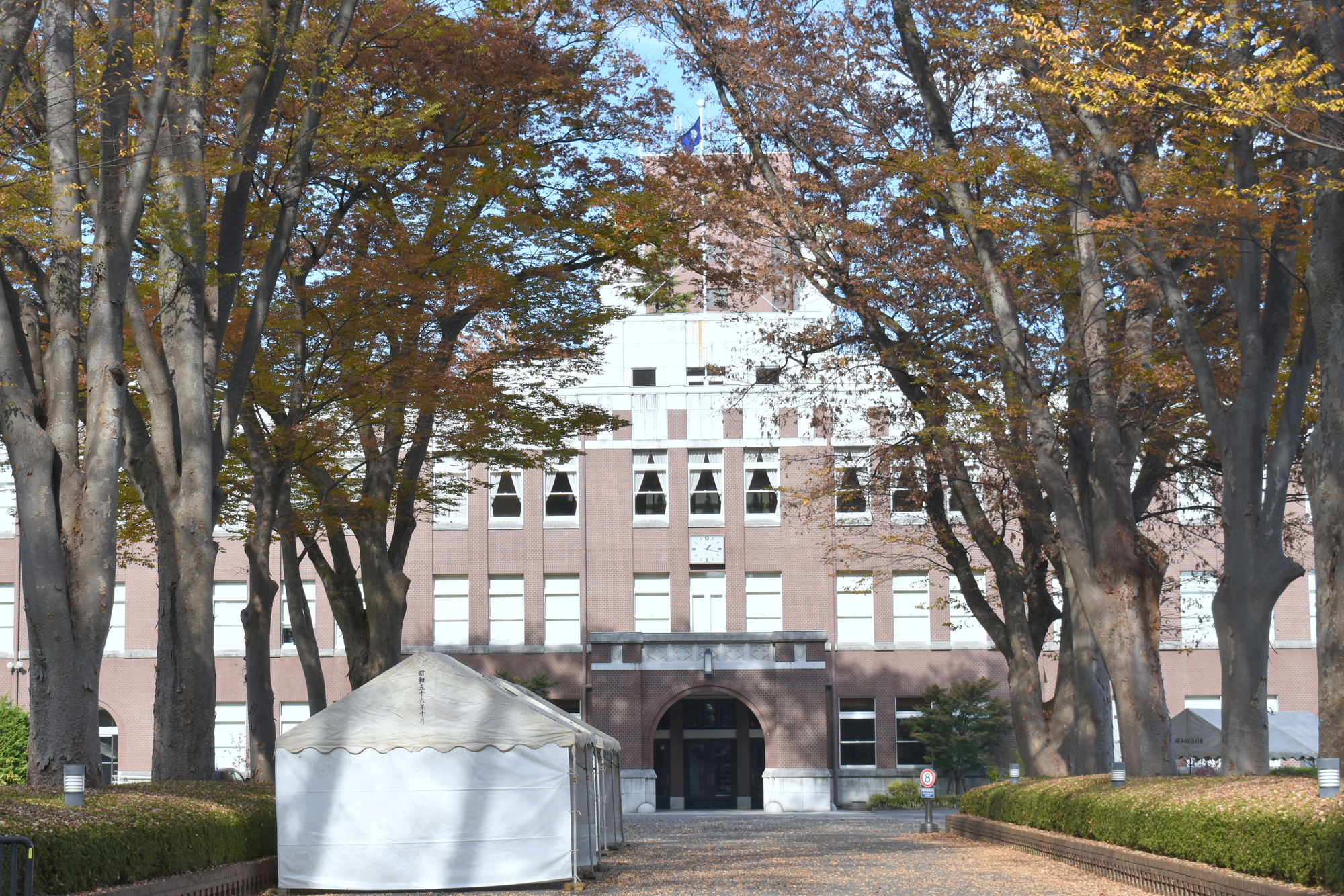 Seikei University is planning to establish the Faculty of International ...