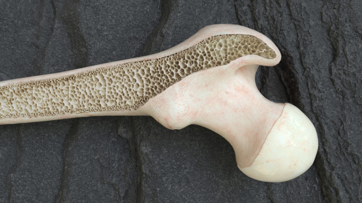 Osaka University and other researchers discover that the bone matrix ...