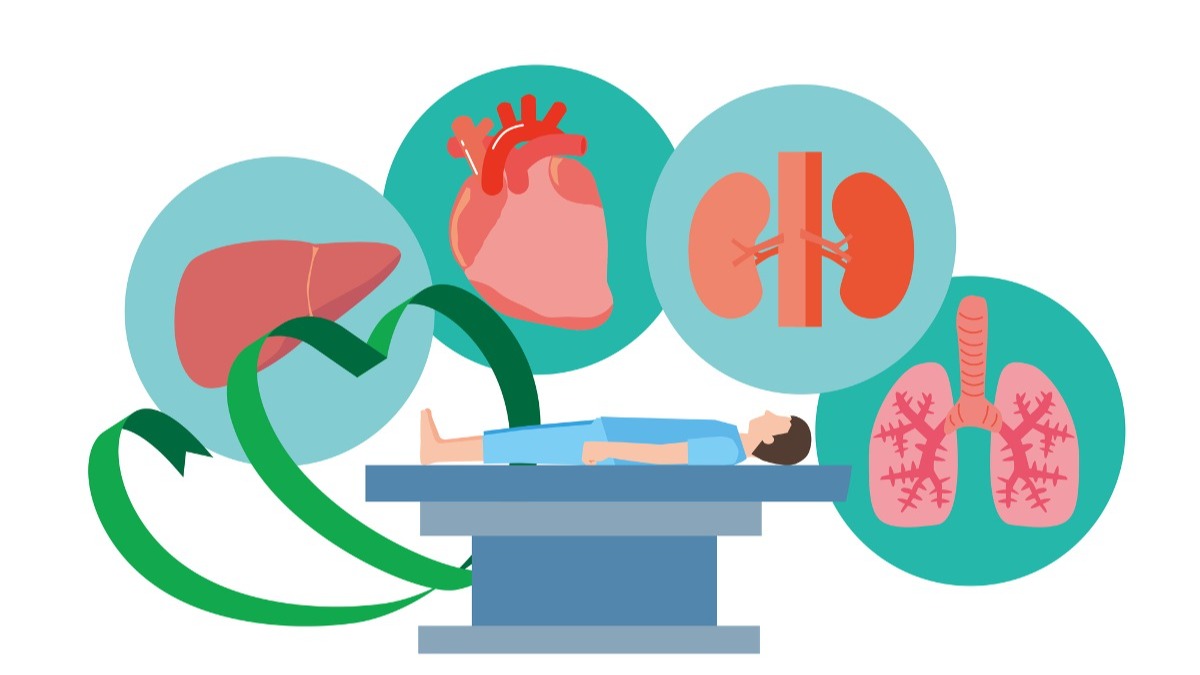 Domestic production of pigs for xenogeneic organ transplants, a venture ...