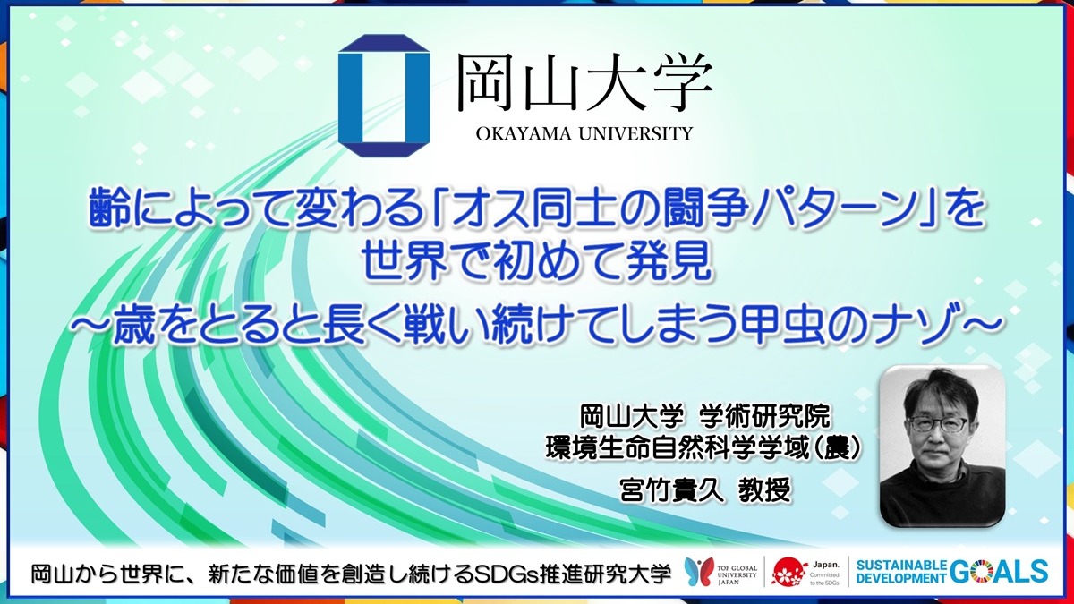 Older males are more persistent in the fight at hand - Discovery of ...