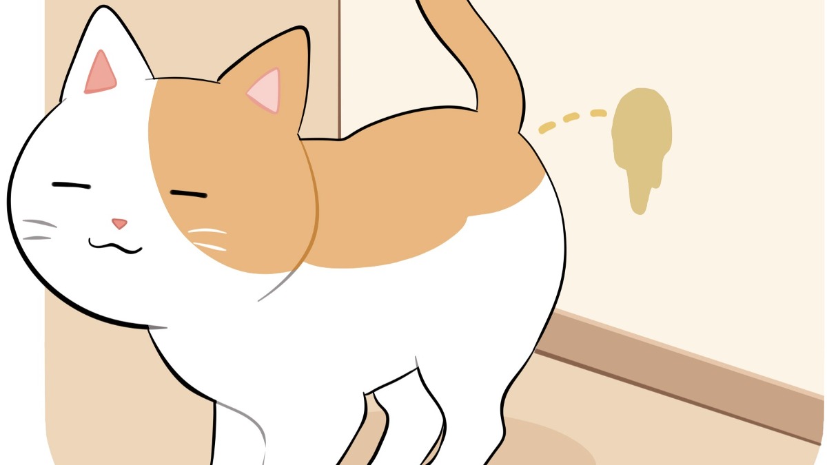 Why is the urine marked by cats more tasteful than usual? Iwate ...