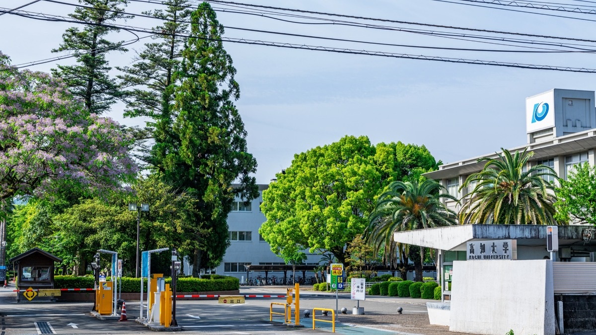 Kochi University Faculty of Agriculture, Forestry and Marine Sciences ...